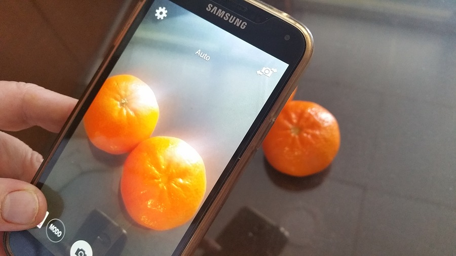 Foto mandarina_web - Laboratorio Alazor